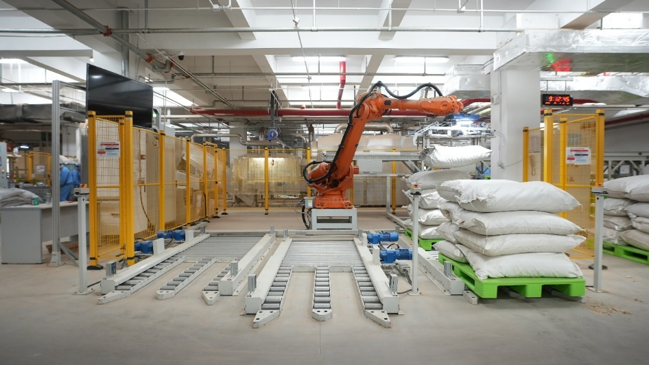 Case Study | Depalletizing and Palletizing Applications in Diverse ...